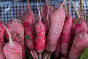 Guide to Radishes (and What To Do With Them) - CIA Foodies