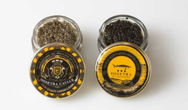 All About Caviar - CIA Foodies