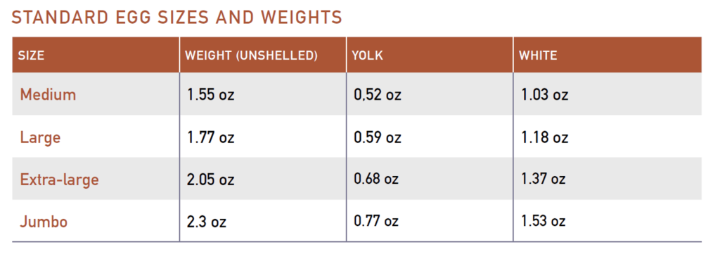 Shell Shock - All About Eggs - CIA Foodies