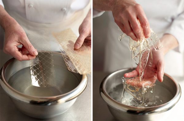 All About Gelatin - CIA Foodies