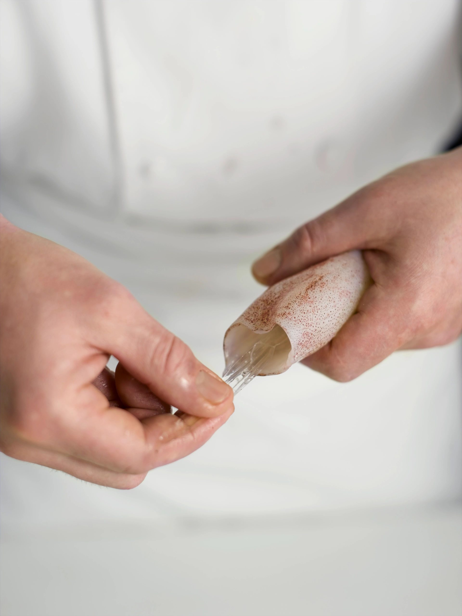 Cleaning Octopus and Squid - CIA Foodies