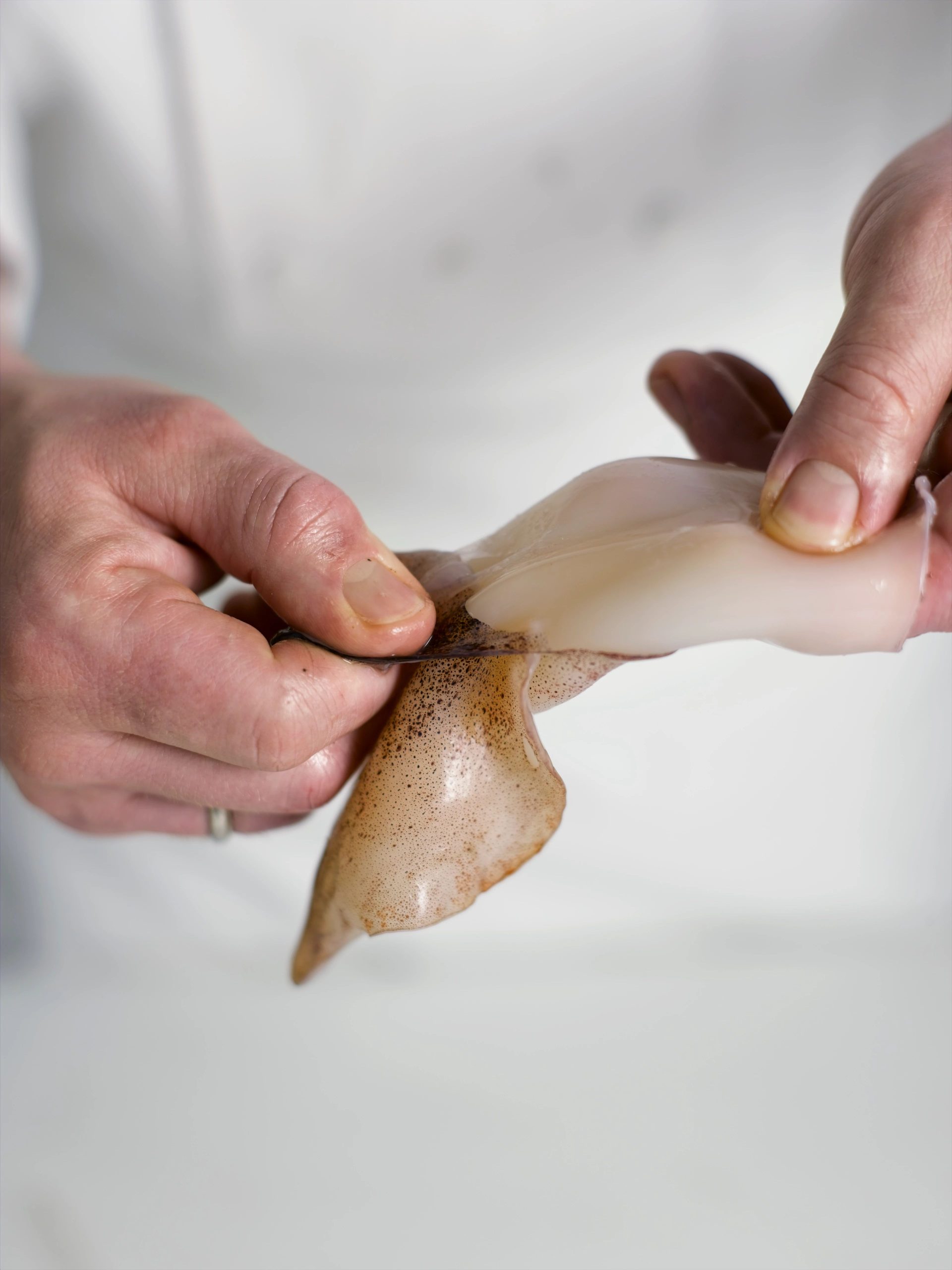 Cleaning Octopus and Squid - CIA Foodies