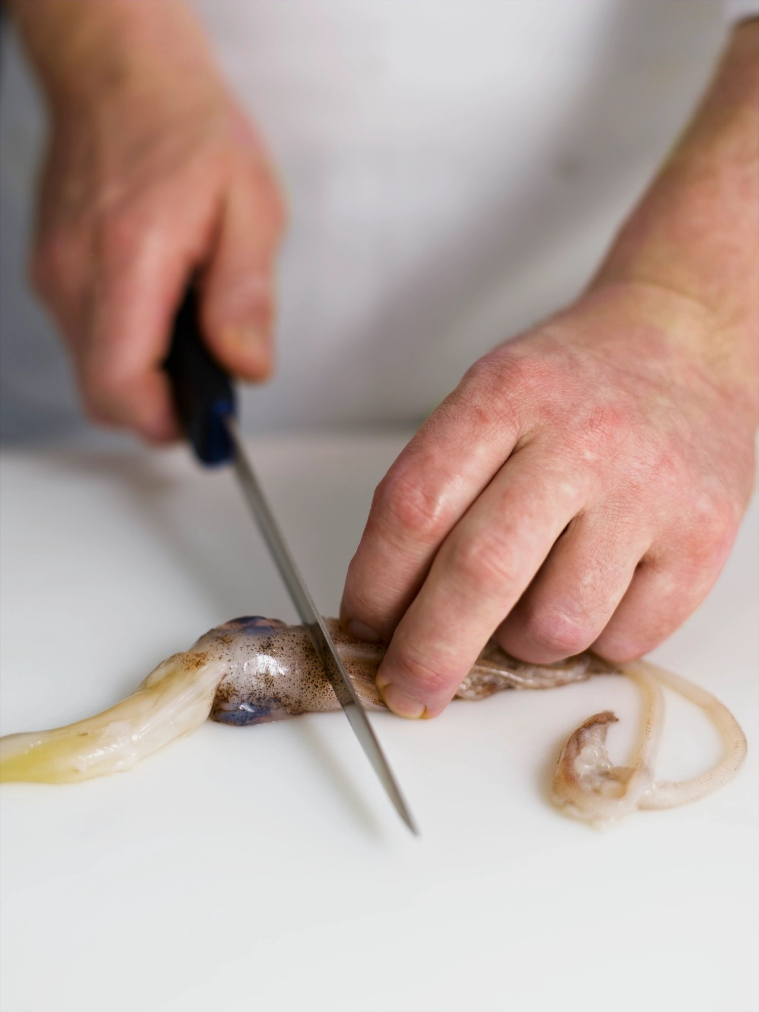 calamari fabrication how to octopus seafood squid
