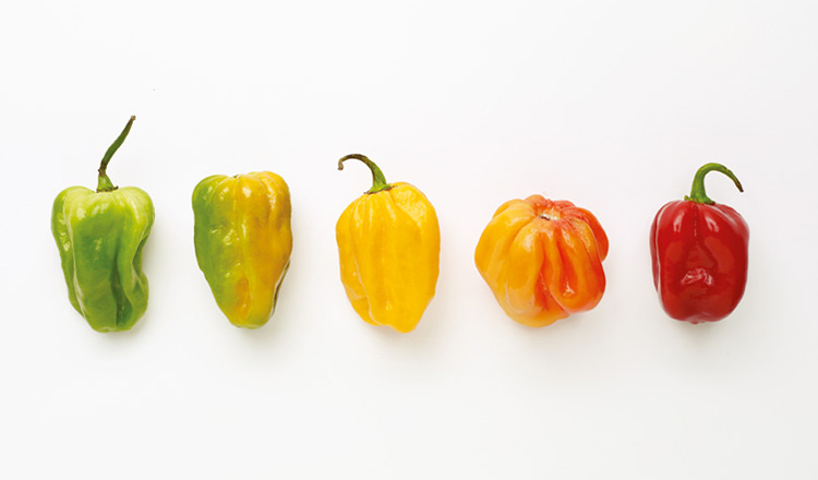 Chile Varieties and How to Use Them - CIA Foodies